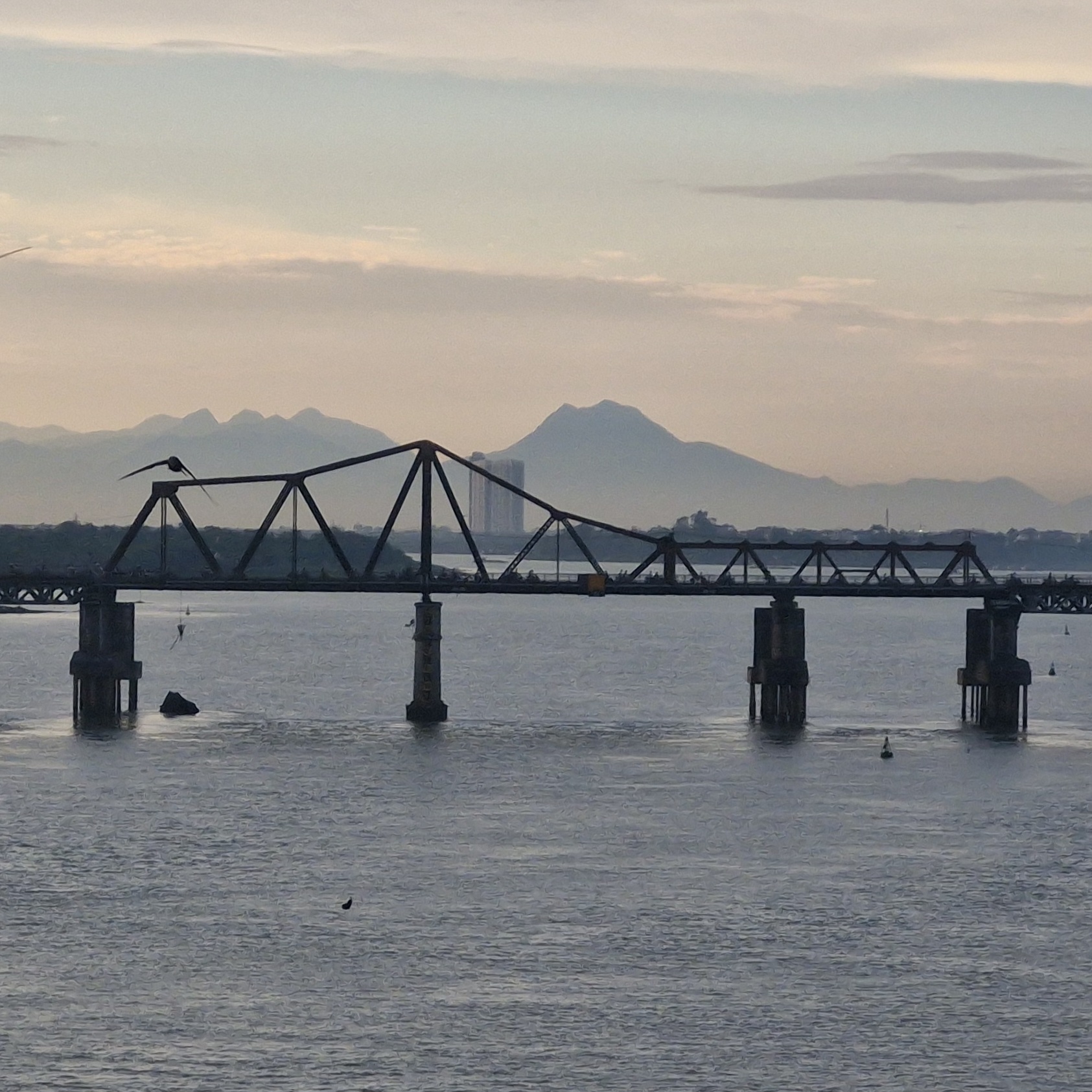 Home - The Chillin' Python